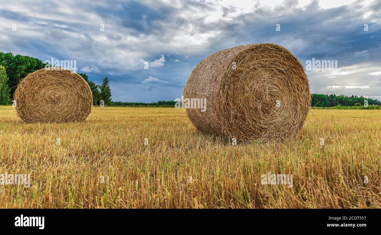 Swedish Farmers High Resolution Stock Photography and Images - Alamy