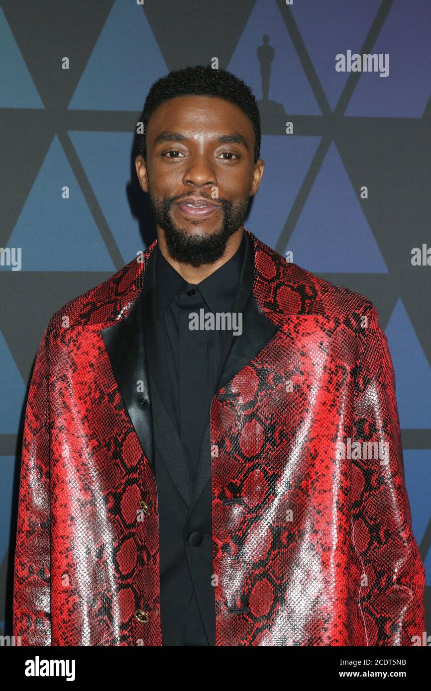 LOS ANGELES - NOV 18: Chadwick Boseman at the 10th Annual Governors ...
