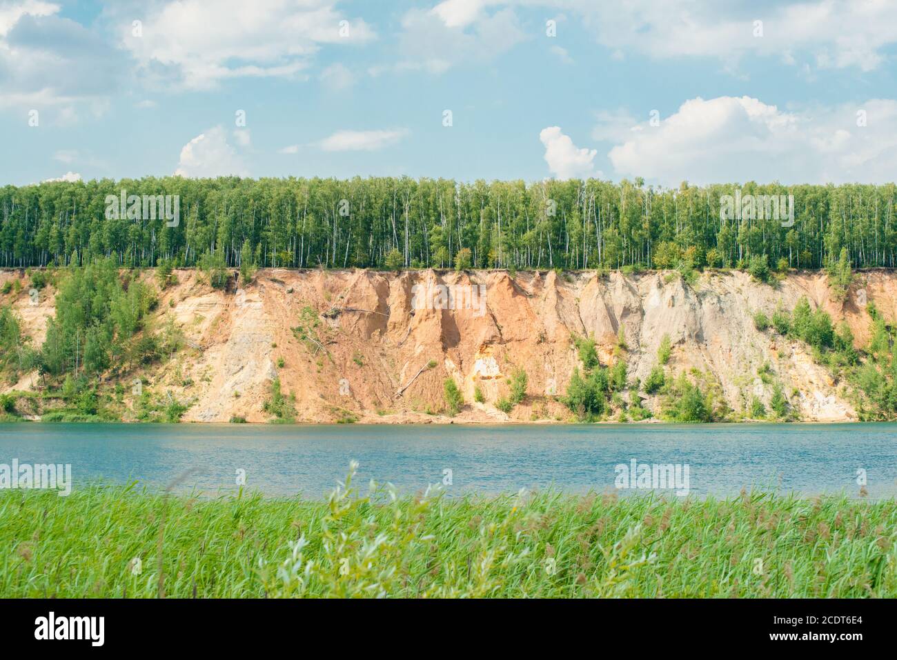 Sand forest hi-res stock photography and images - Alamy