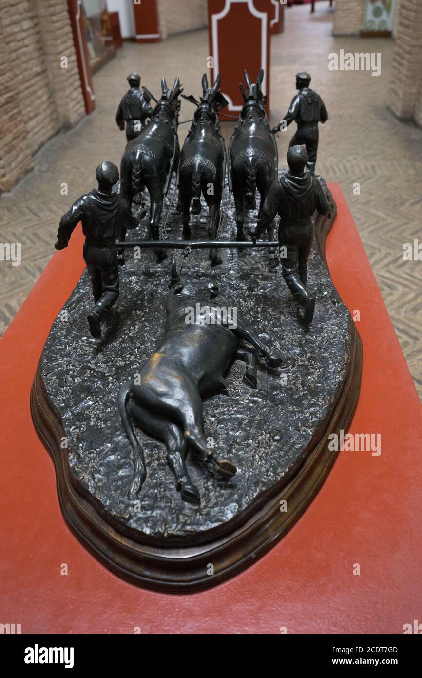 Dead bull being dragged hi-res stock photography and images - Alamy