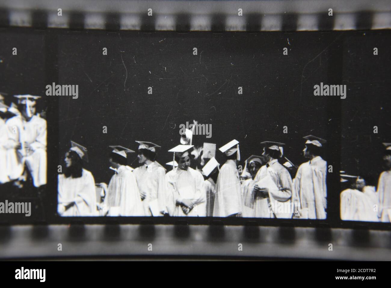 Fine 1970s vintage black and white photography of a commencement ...