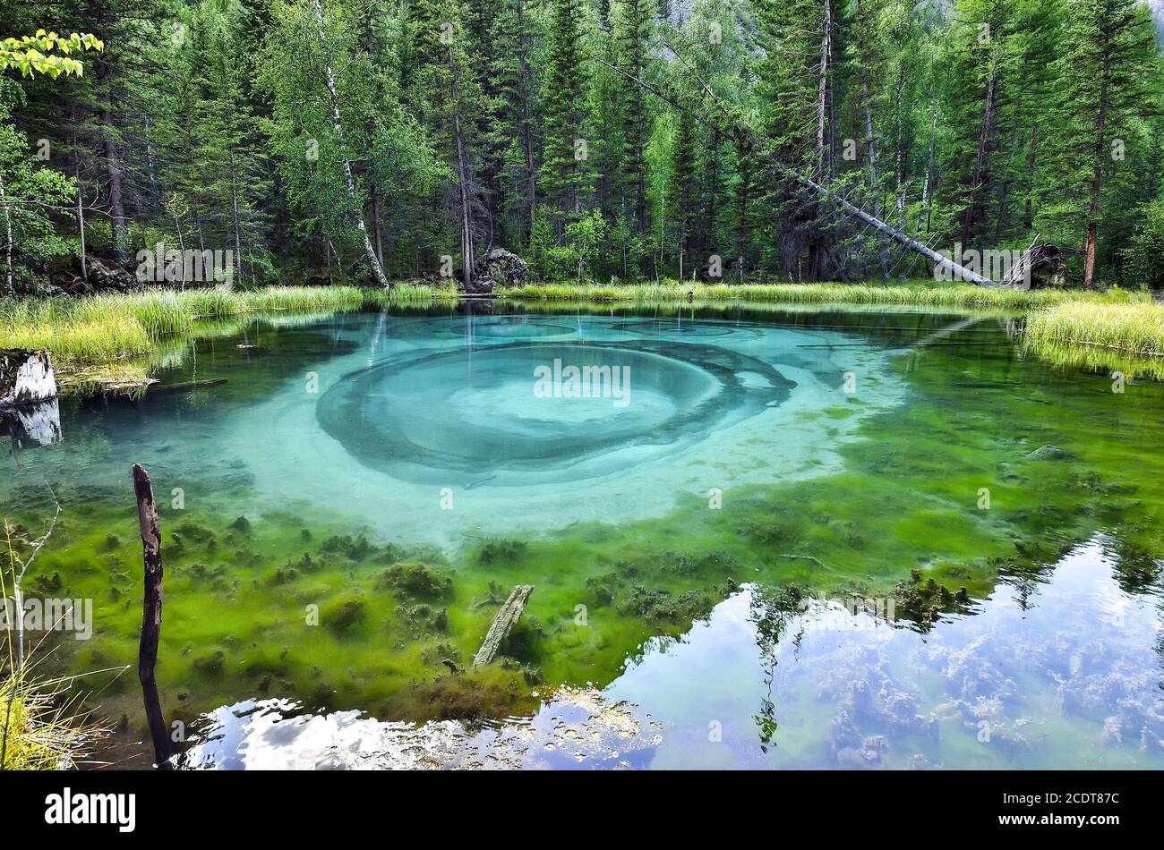 Amazing blue geyser lake in the mountains of Altai, Russia Stock Photo ...