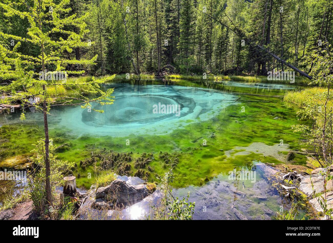 Amazing blue geyser lake in the mountains of Altai, Russia Stock Photo ...