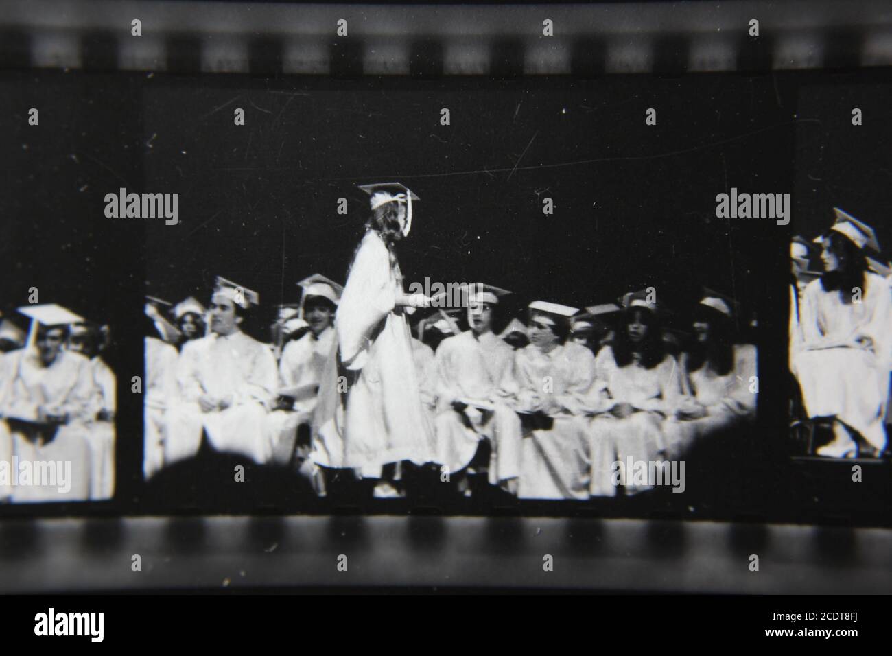 Fine 1970s vintage black and white photography of a commencement ...