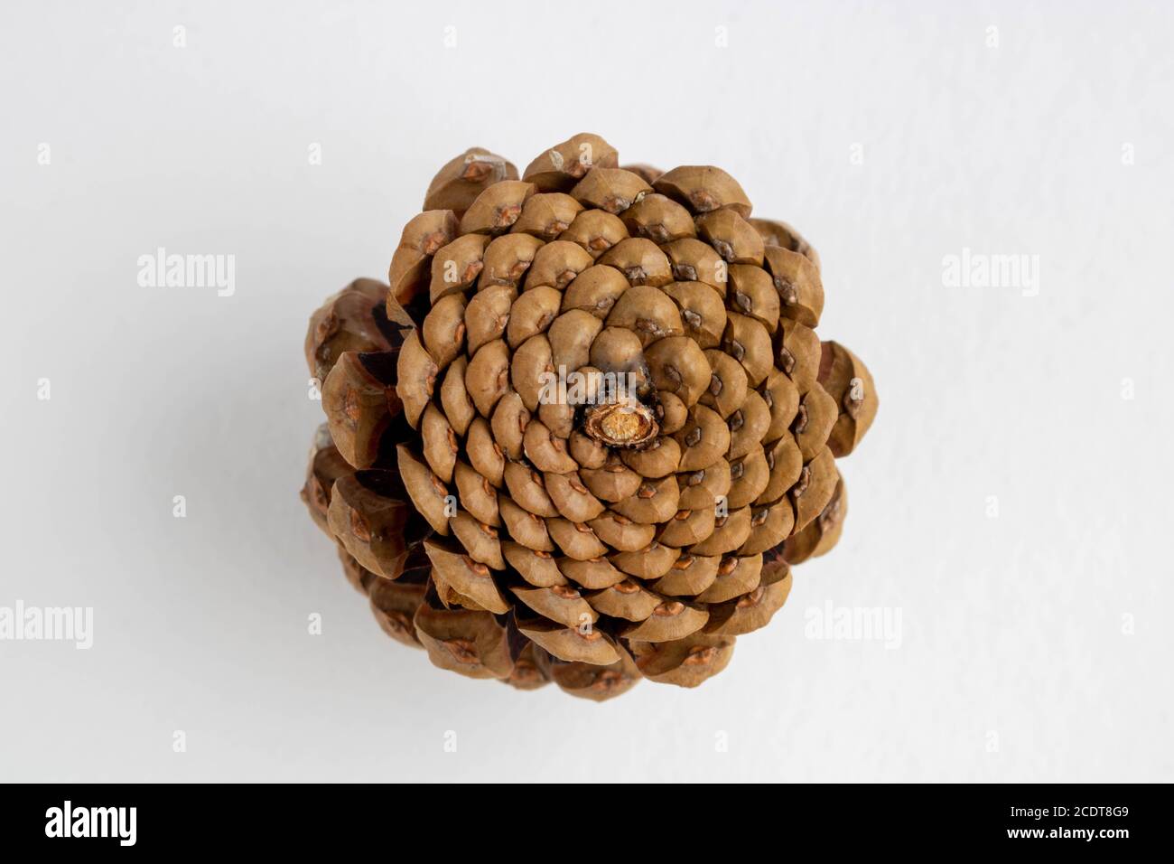 Inverted cone hi-res stock photography and images - Alamy