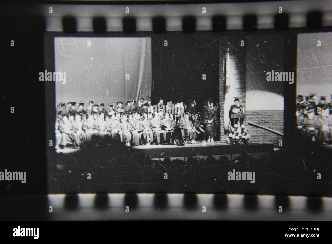 Fine 1970s vintage black and white photography of a commencement ...