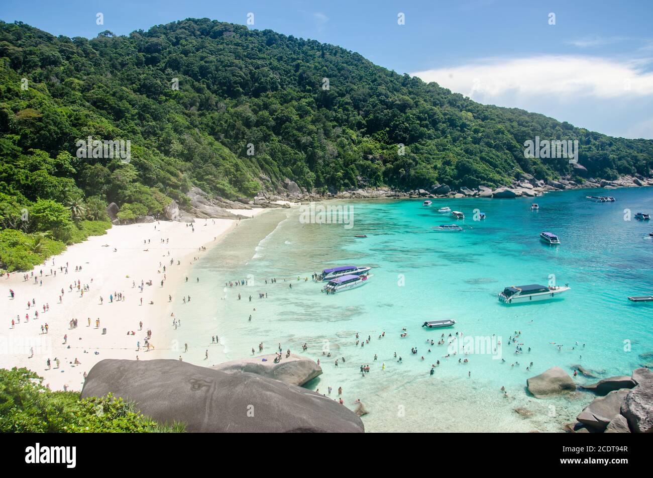 Similan island reef hi-res stock photography and images - Alamy