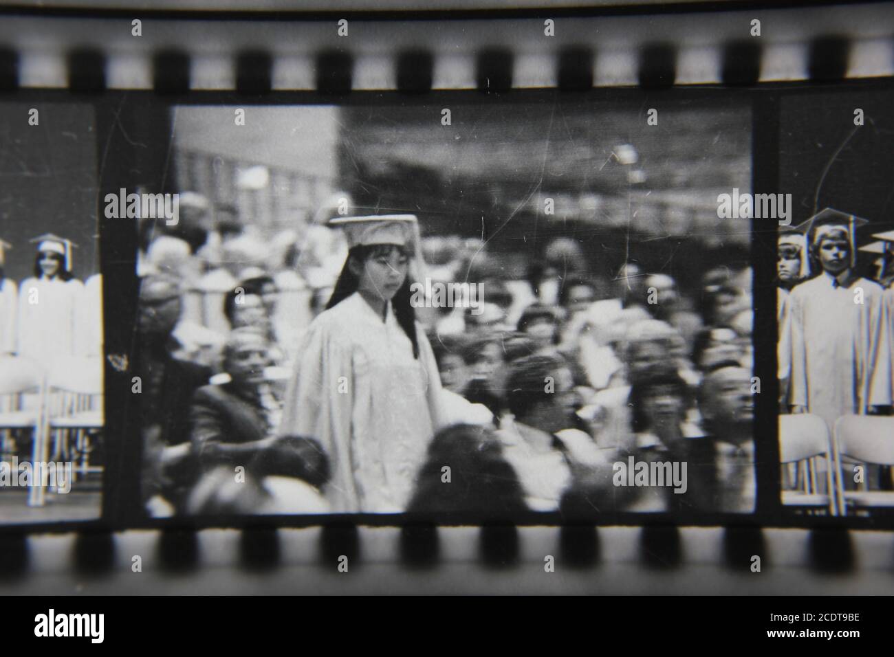 Fine 1970s vintage black and white photography of a commencement ...