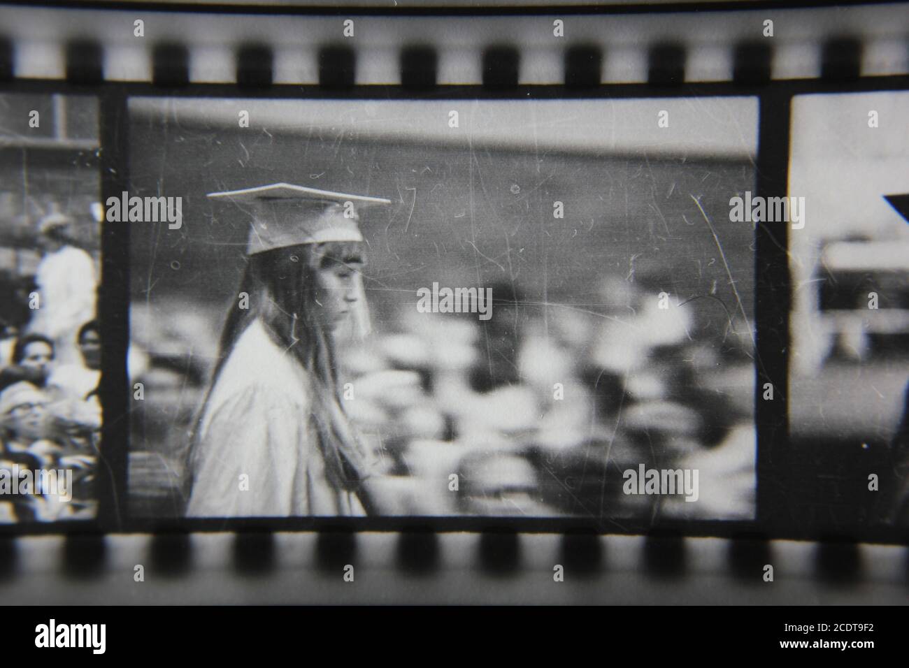 Fine 1970s vintage black and white photography of a commencement ...