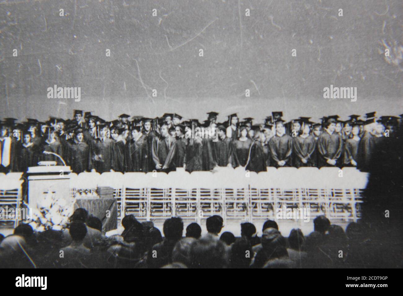 Fine 1970s vintage black and white photography of a commencement ...