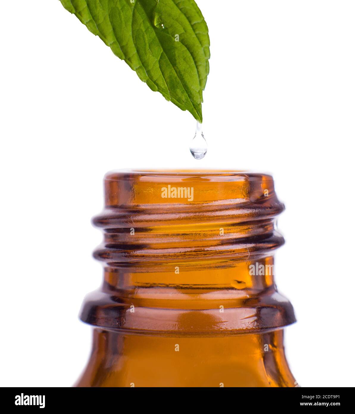 Herbal, alternative medicine, water drop falling down from a leaf to ...