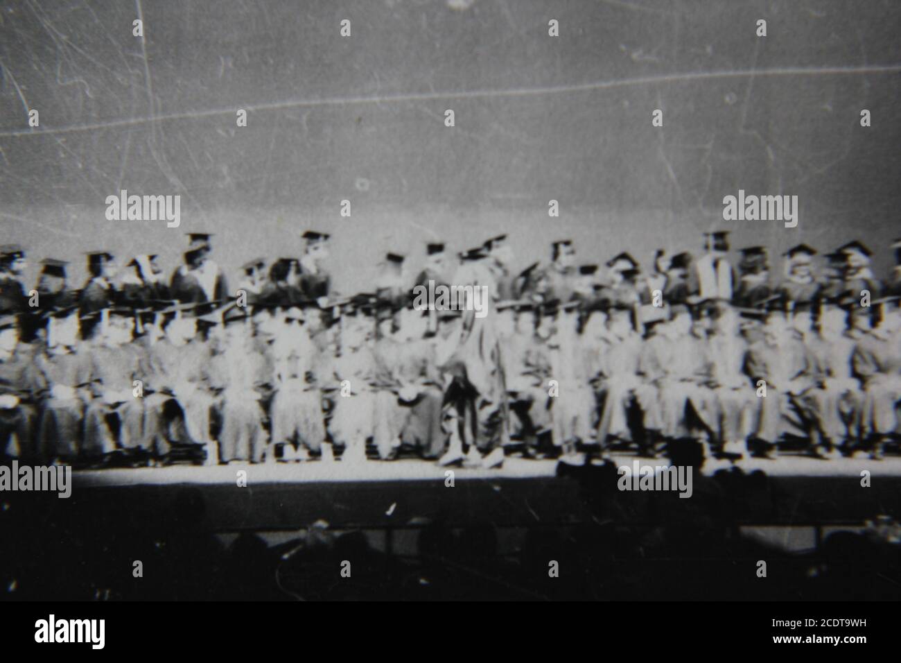 Fine 1970s vintage black and white photography of a commencement ...