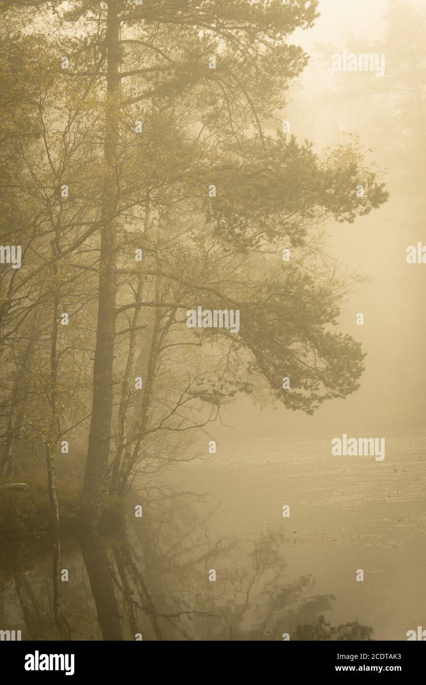 Fog edge hi-res stock photography and images - Alamy