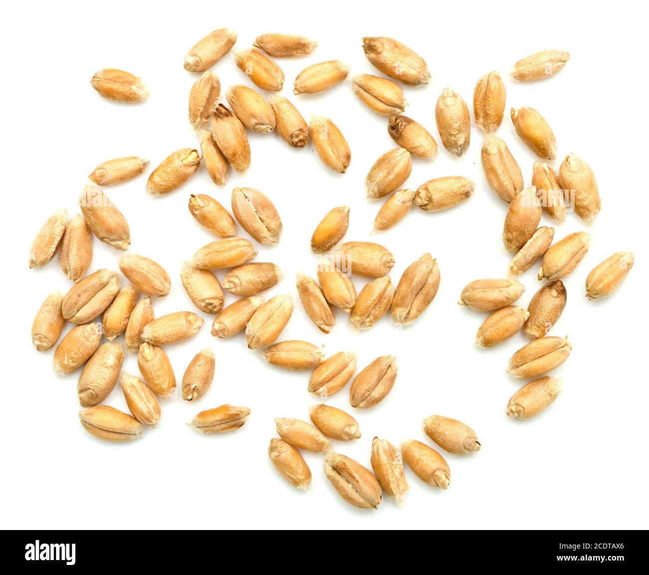 Grain wheat Cut Out Stock Images & Pictures - Alamy