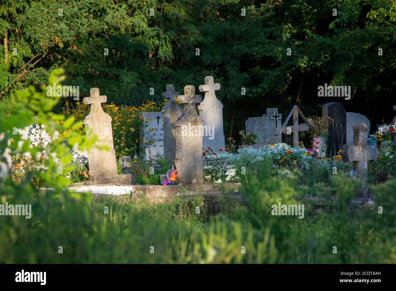 Graveyard tompa hi-res stock photography and images - Alamy
