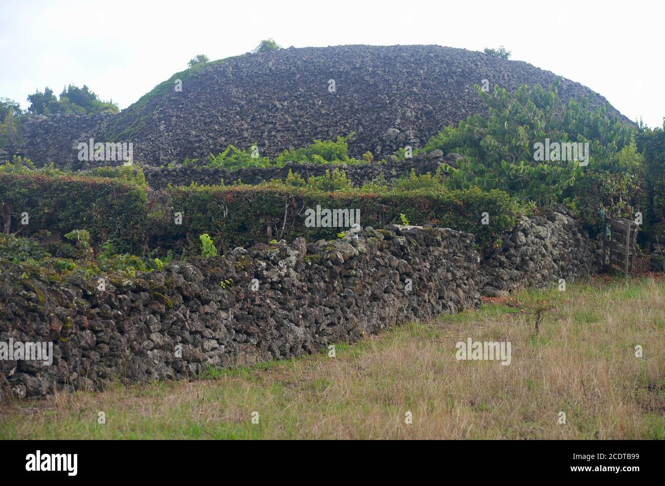 Maroiços, also known as the “Azores pyramids”, a unique kind of ...
