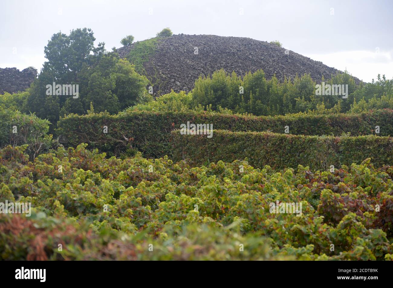 Maroiços, also known as the “Azores pyramids”, a unique kind of ...