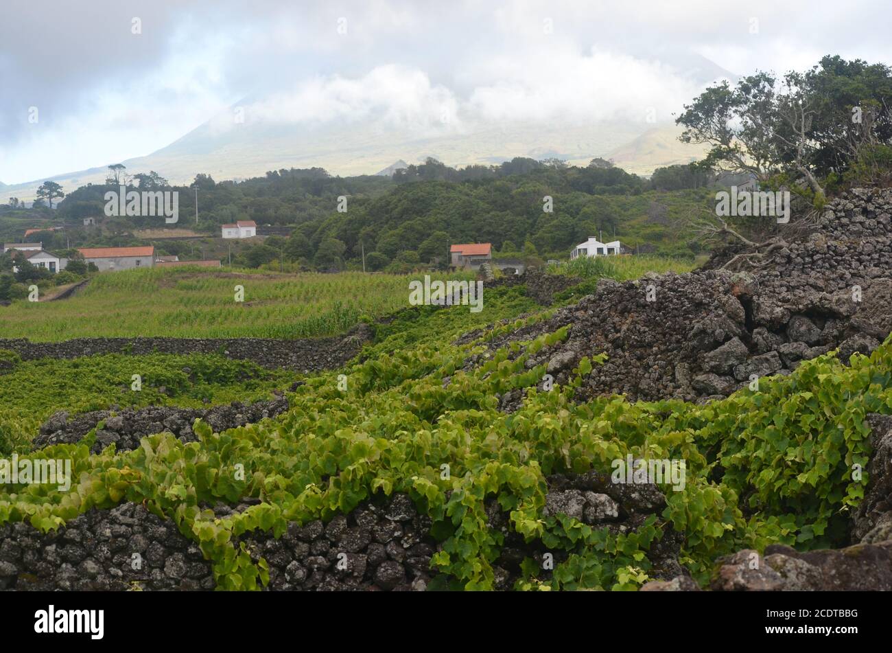 Maroiços, also known as the “Azores pyramids”, a unique kind of ...