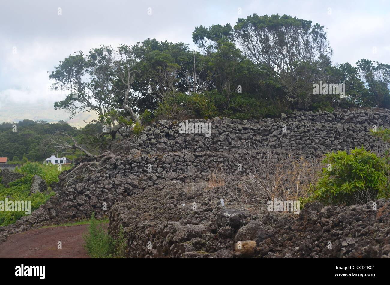 Maroiços, also known as the “Azores pyramids”, a unique kind of ...