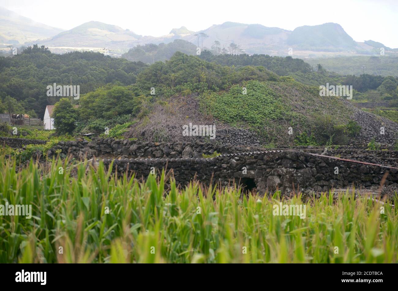 Maroiços, also known as the “Azores pyramids”, a unique kind of ...