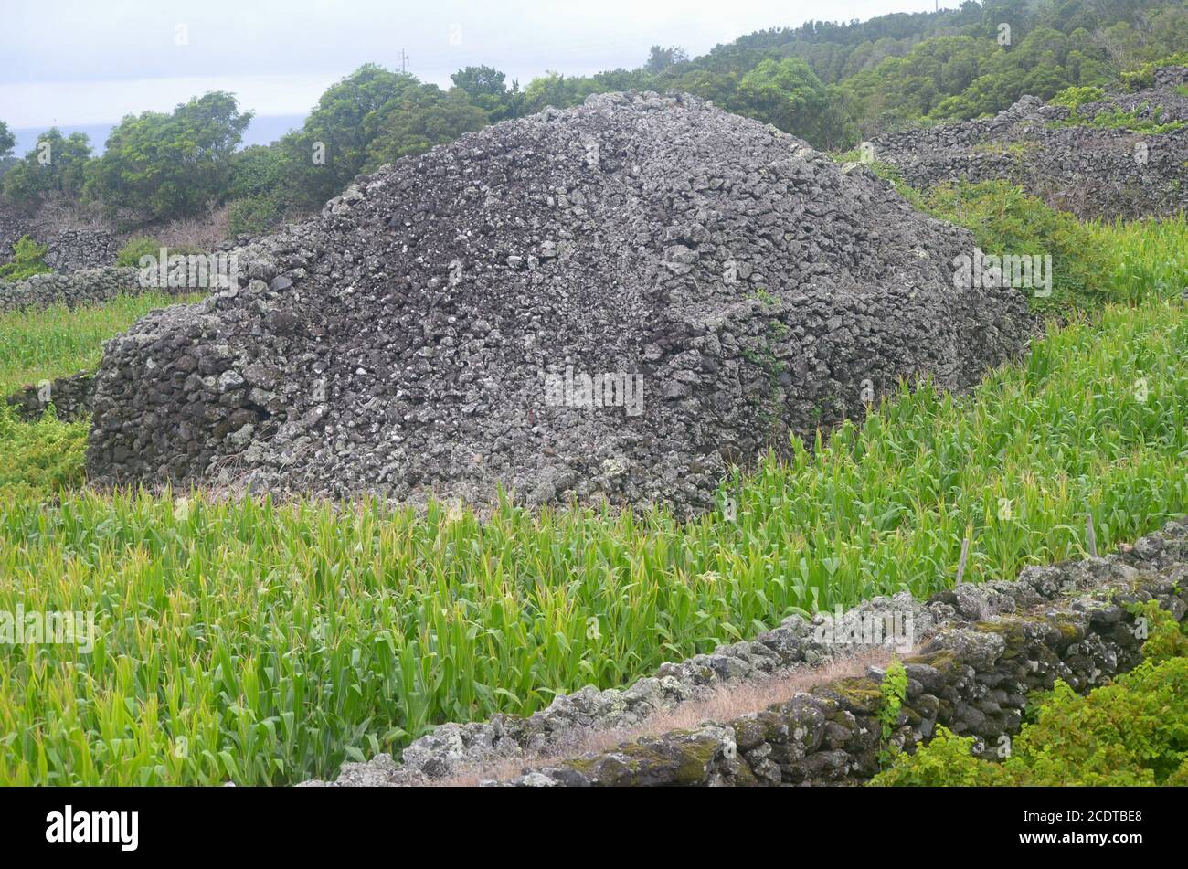 Maroiços, also known as the “Azores pyramids”, a unique kind of ...