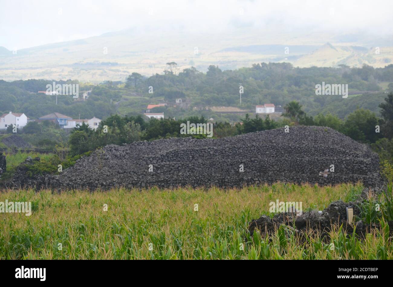 Maroiços, also known as the “Azores pyramids”, a unique kind of ...
