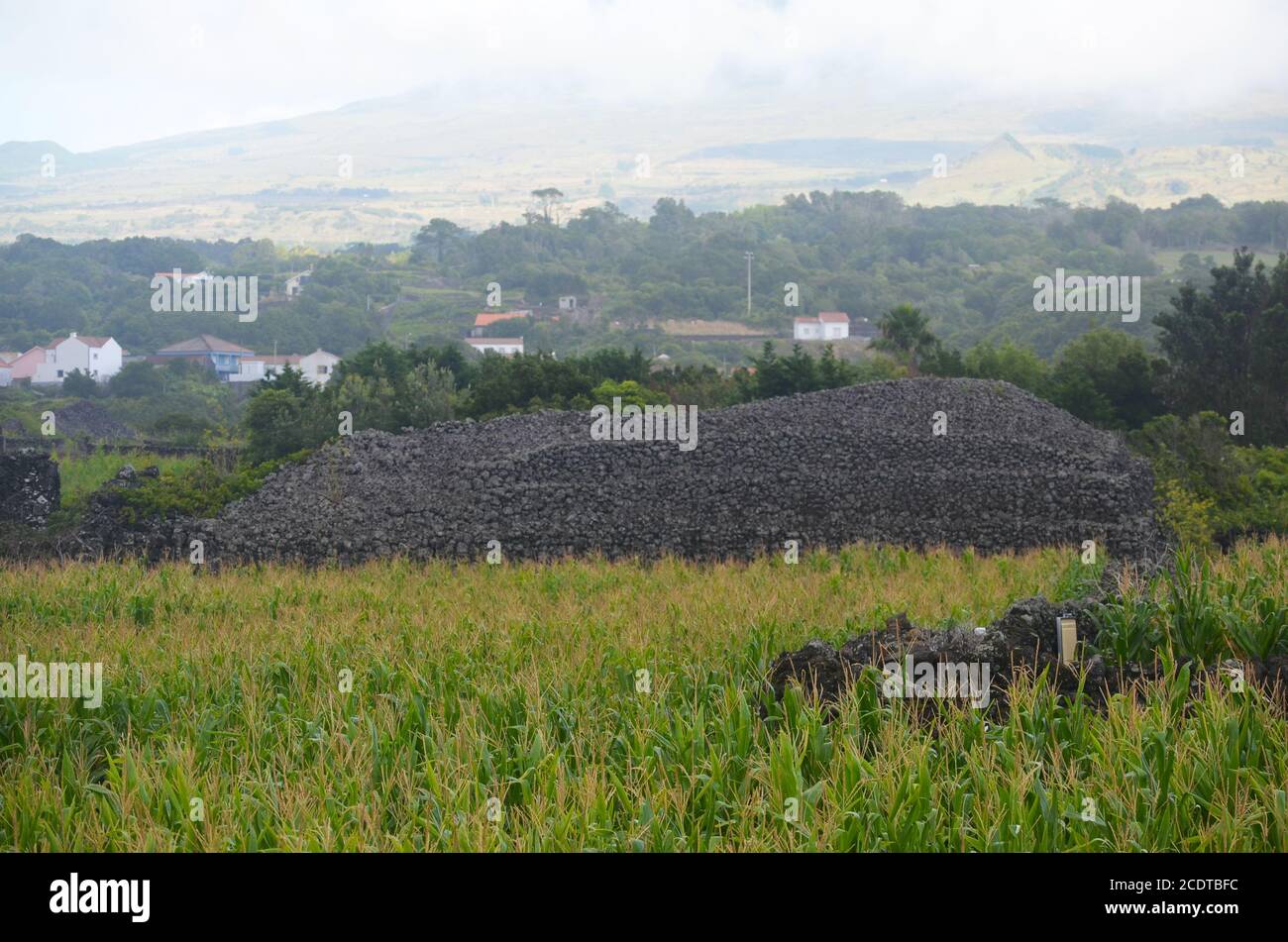 Maroiços, also known as the “Azores pyramids”, a unique kind of ...
