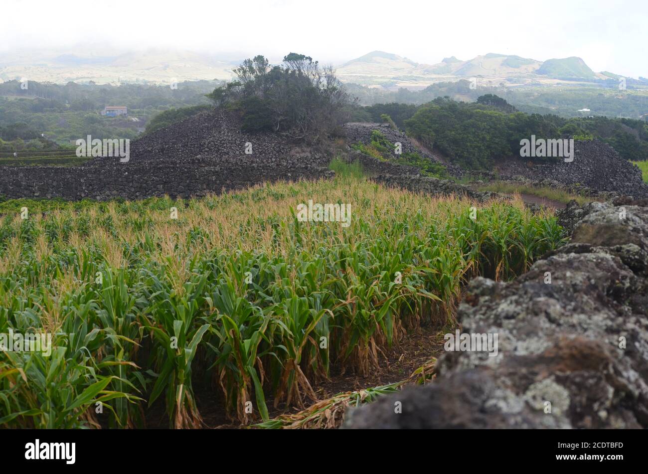 Maroiços, also known as the “Azores pyramids”, a unique kind of ...