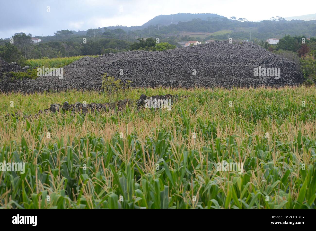Maroiços, also known as the “Azores pyramids”, a unique kind of ...