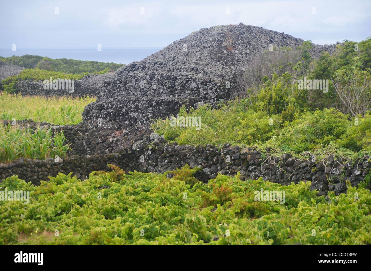 Maroiços, also known as the “Azores pyramids”, a unique kind of ...
