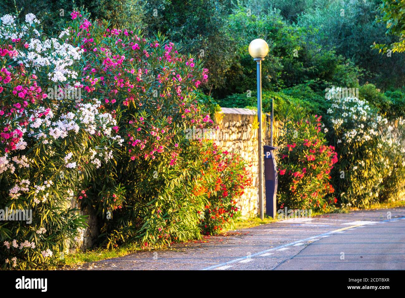 Sunshine and morning light hi-res stock photography and images - Alamy