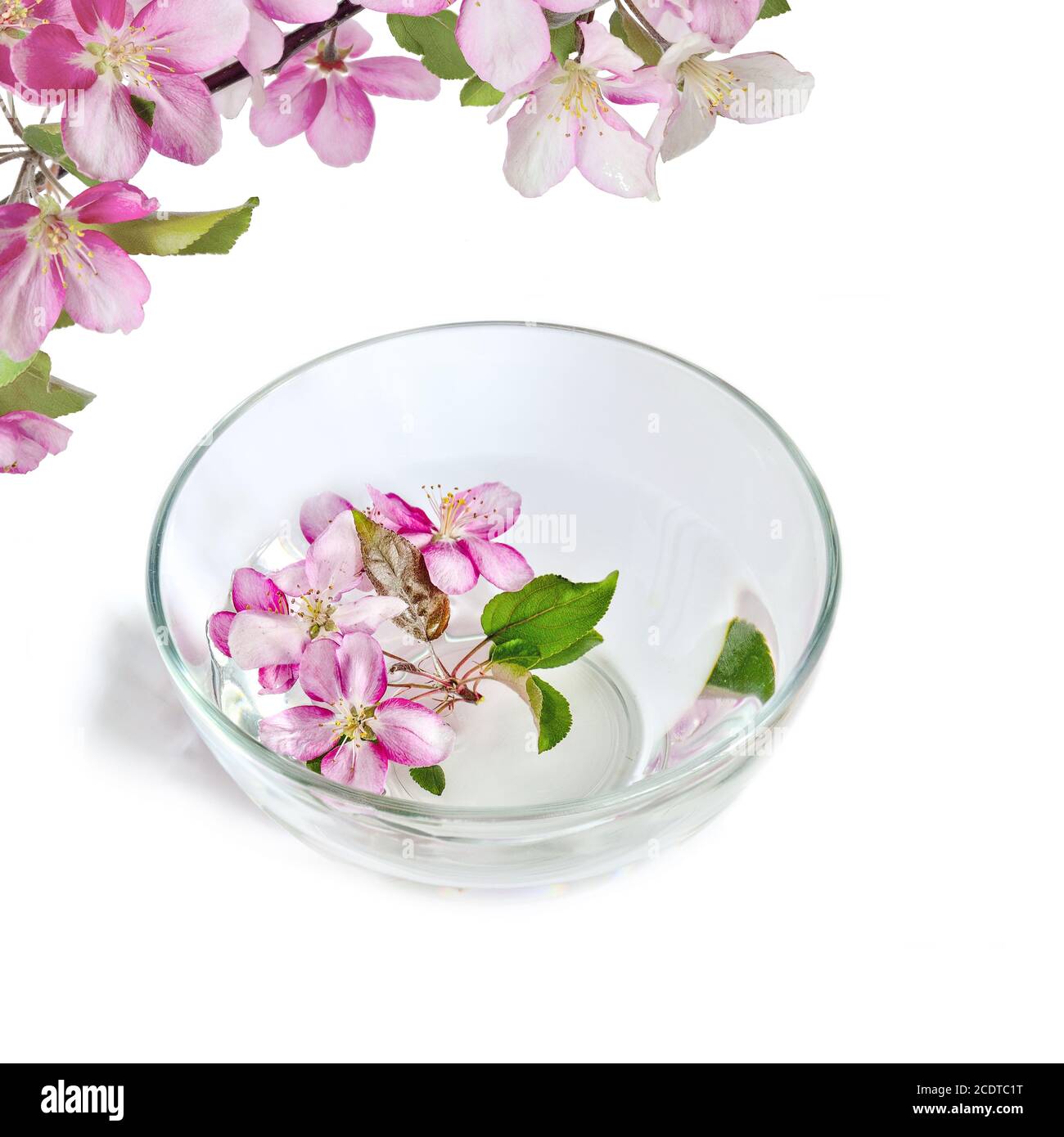 Floating pink flowers hi-res stock photography and images - Alamy