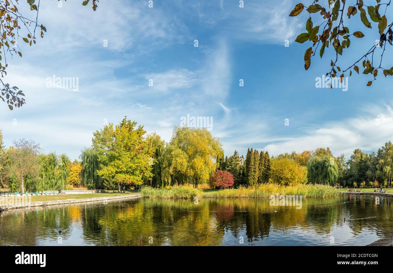 Beautiful park pond in city hi-res stock photography and images - Alamy