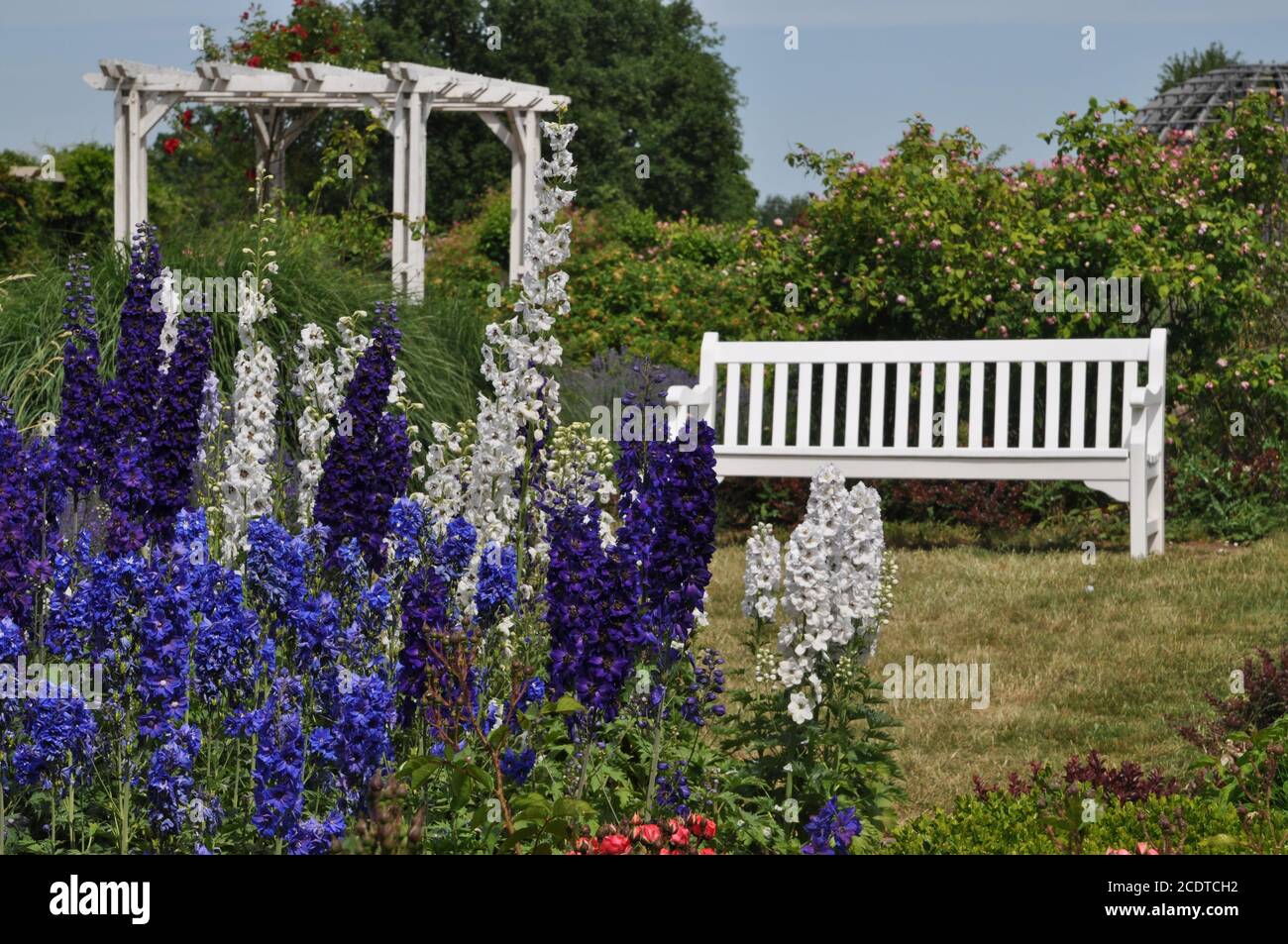 Bench in a flower garden Stock Photo - Alamy