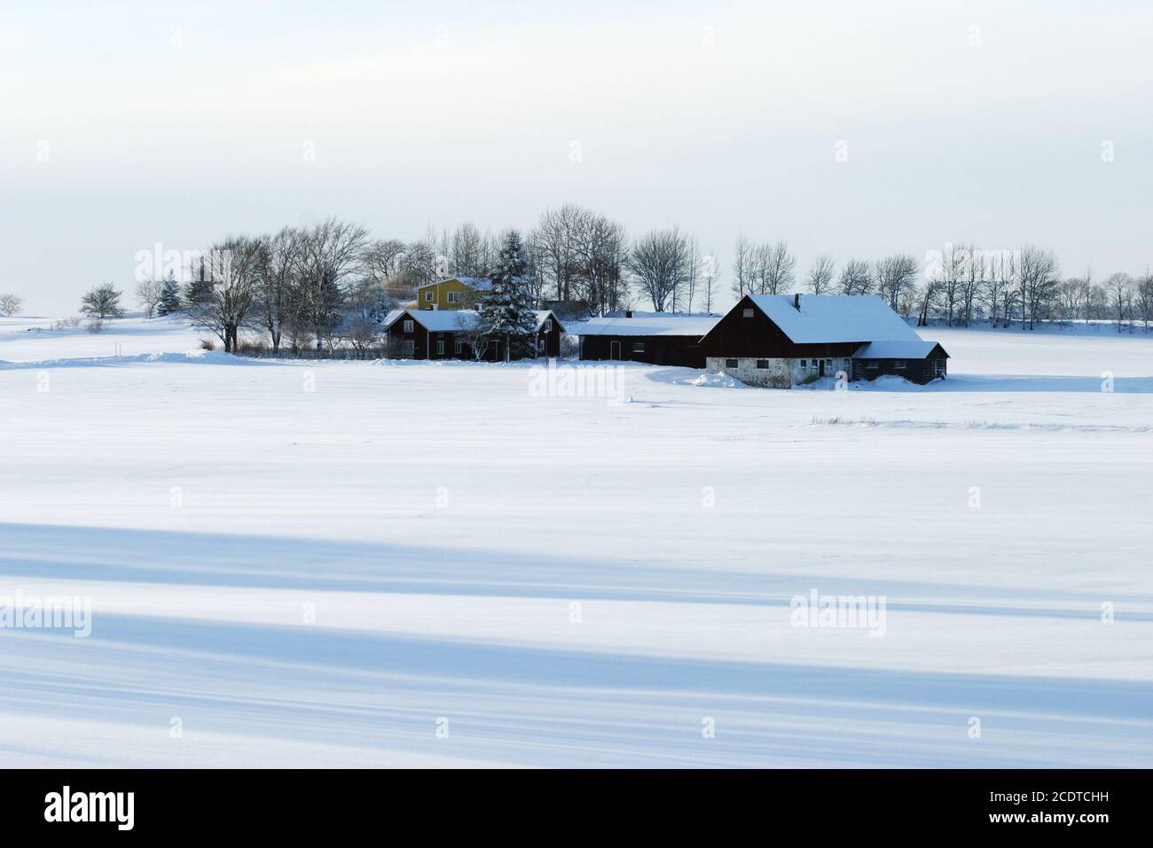 Farm at the snowy field Stock Photo - Alamy