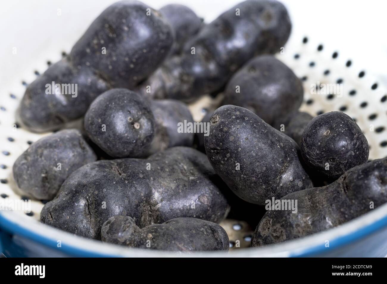 Blue sieve hi-res stock photography and images - Alamy