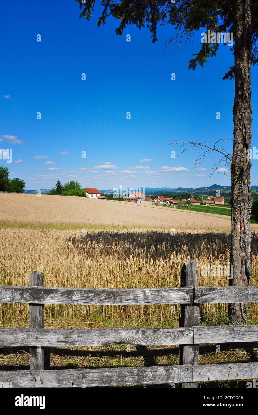 Enclosed plot of land hi-res stock photography and images - Alamy