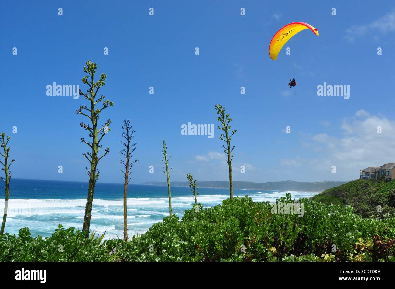 Person paragliding over beach hi-res stock photography and images - Alamy