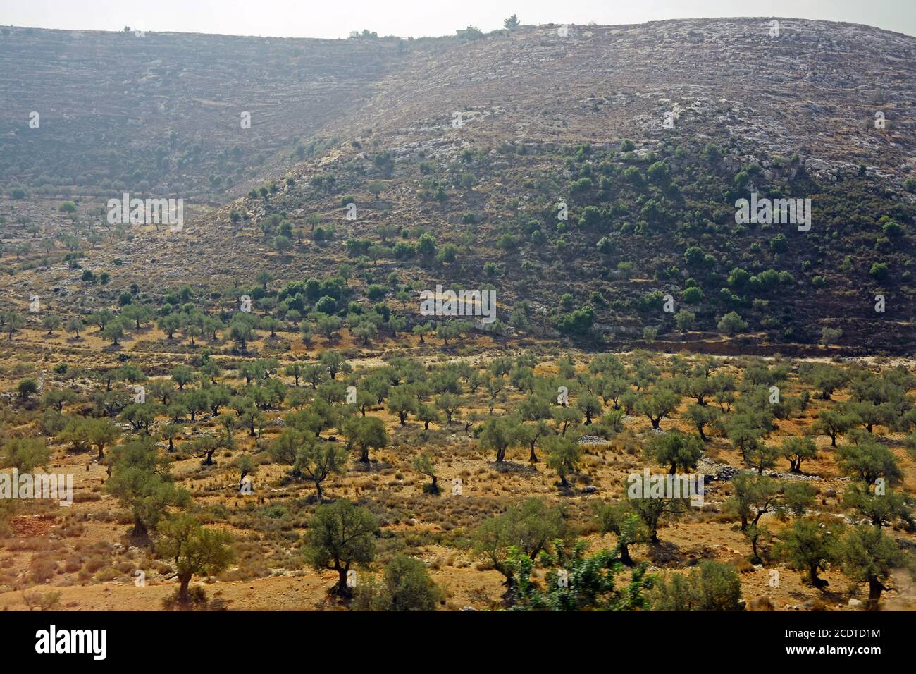 Binyamin landscape hi-res stock photography and images - Alamy