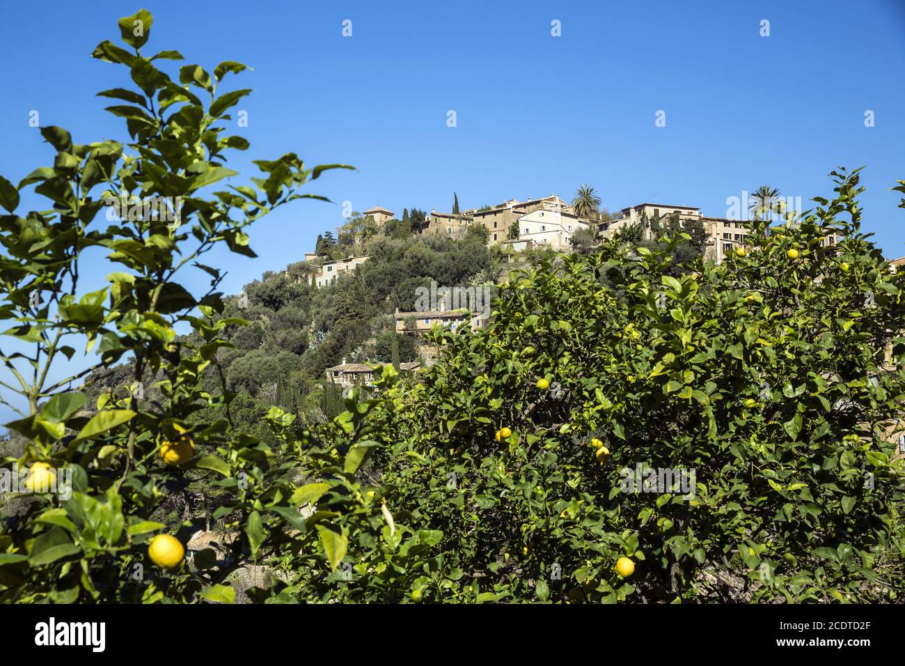 Partial view of deia hi-res stock photography and images - Alamy