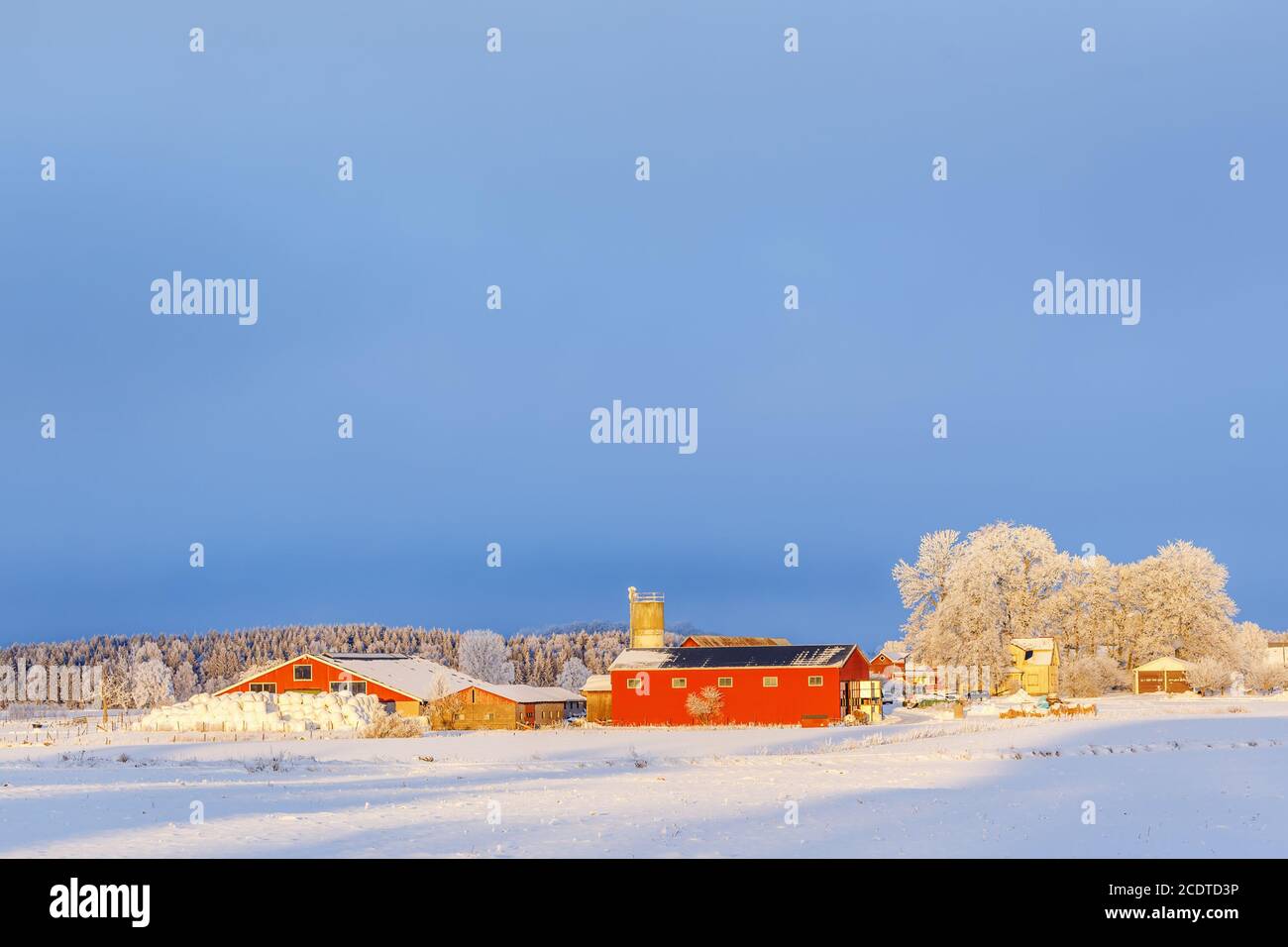 Farm buildings in a winter landscape with snow and winter light Stock ...