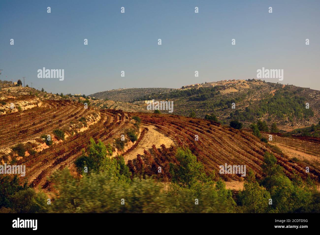 Binyamin landscape hi-res stock photography and images - Alamy