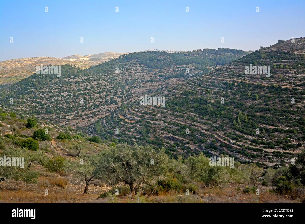 Israeli landscape hi-res stock photography and images - Alamy