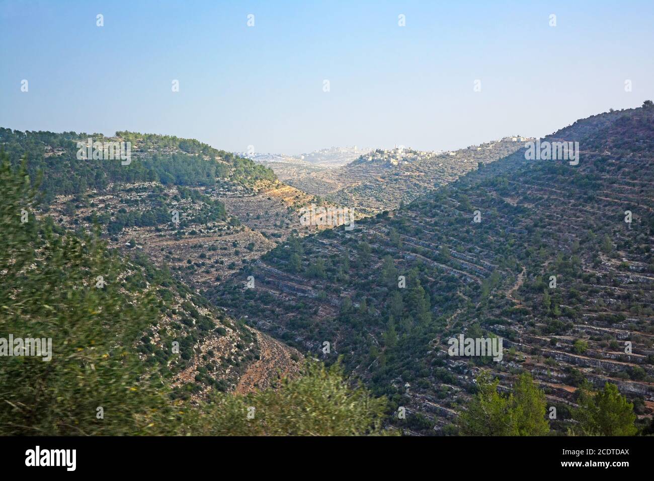 Israeli landscape hi-res stock photography and images - Alamy