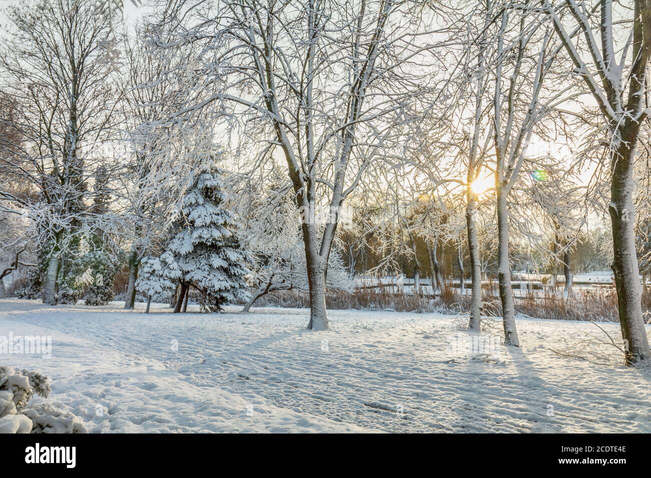 Bridge beautiful snow sunny hi-res stock photography and images - Alamy