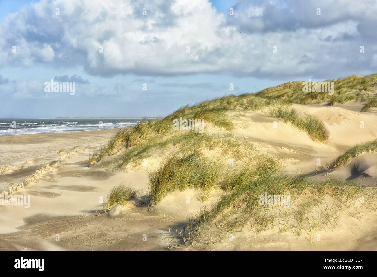Sand dunes, netherlands, west coast hi-res stock photography and images ...