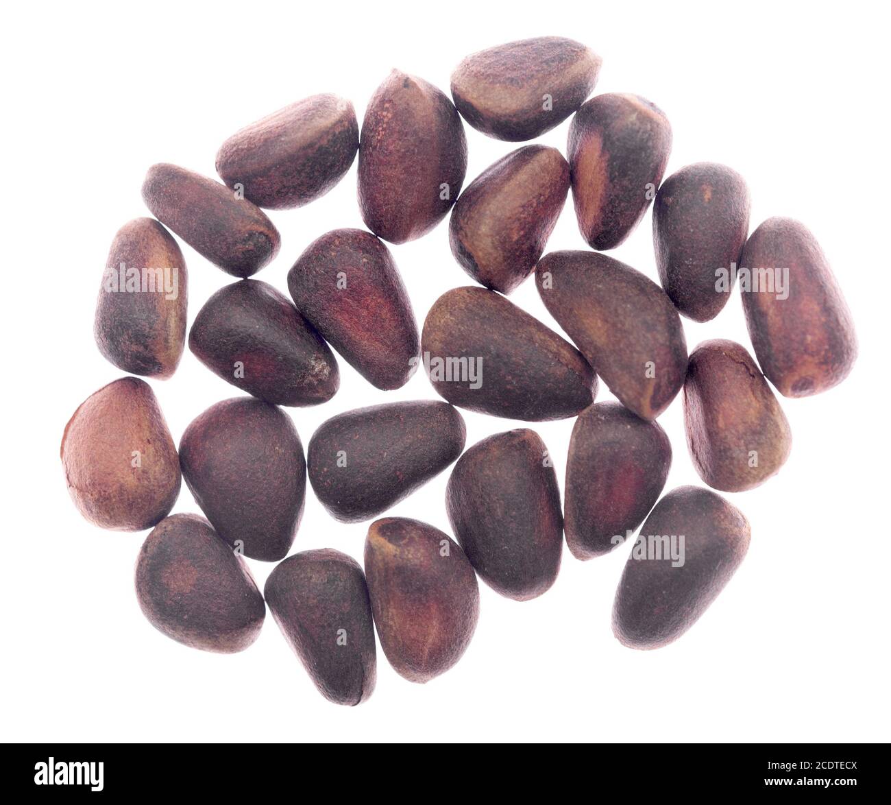 Pine seeds isolated Stock Photo - Alamy