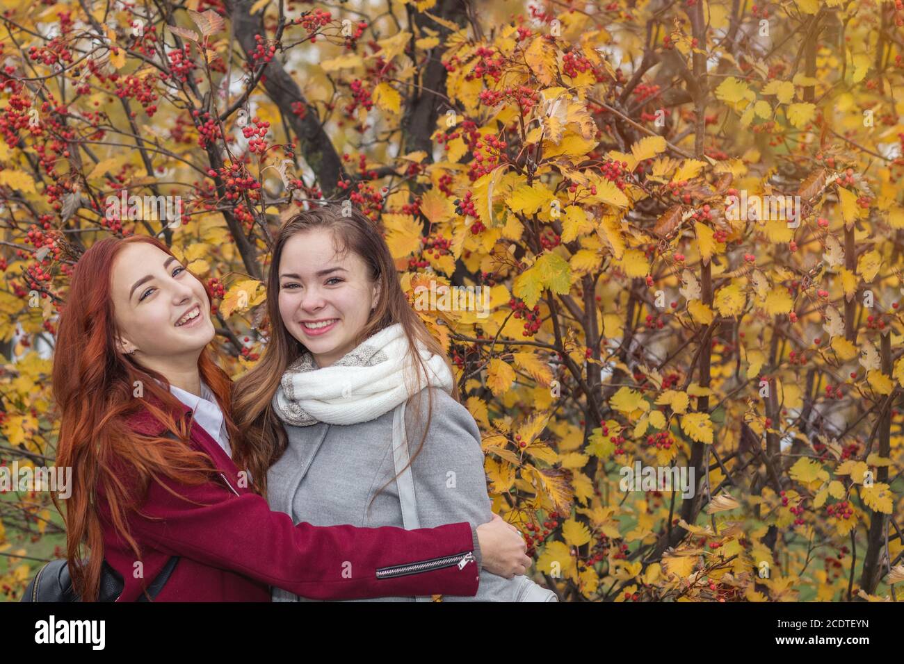 Two happy young girls at bright autumn background Stock Photo - Alamy