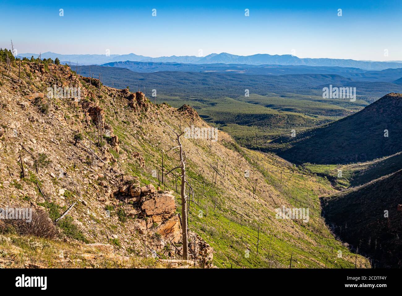 A view from the Mogollon Rim which forms the southern edge of the ...