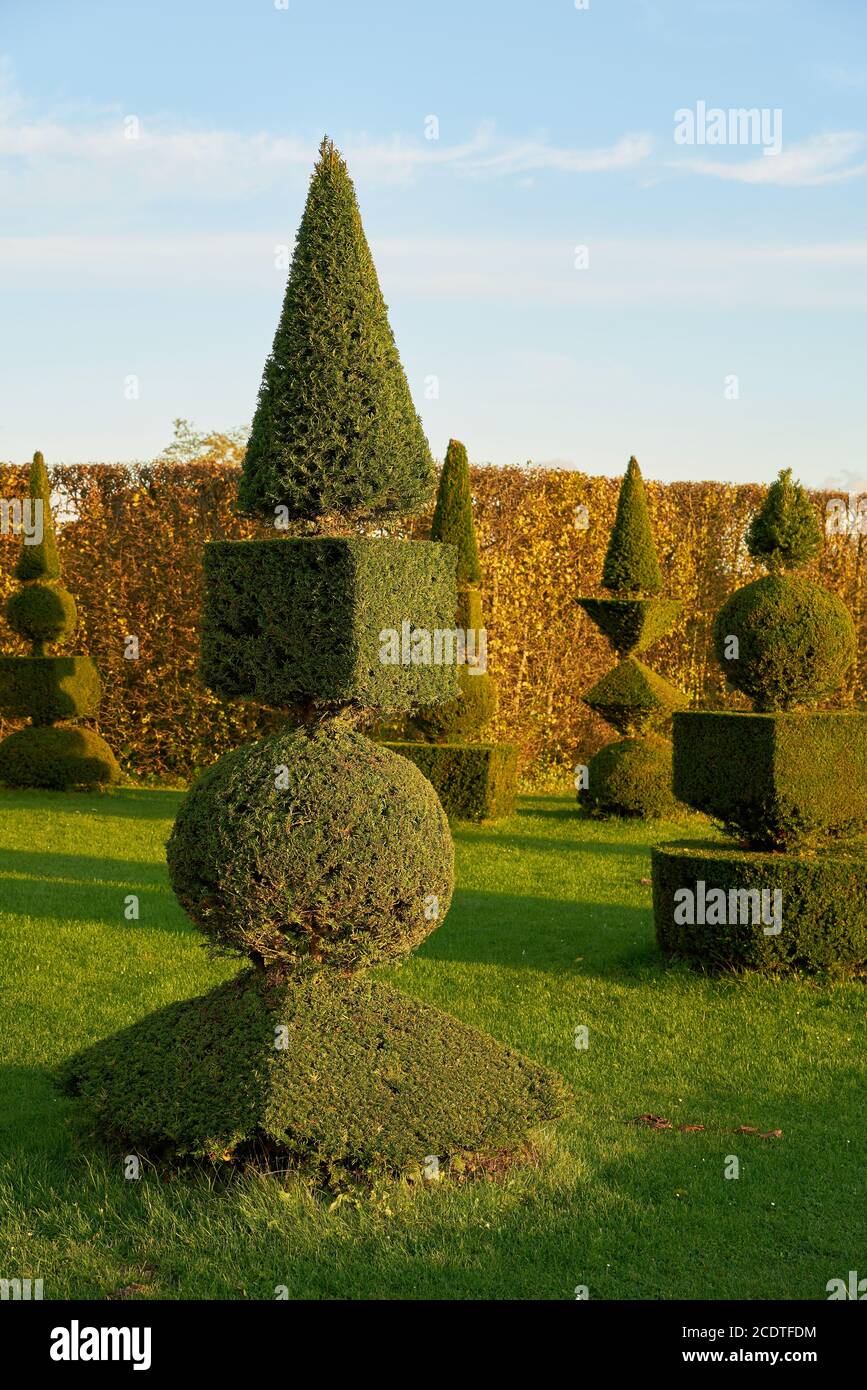 Box trees in a public baroque landscape park at Hundisburg in Germany ...